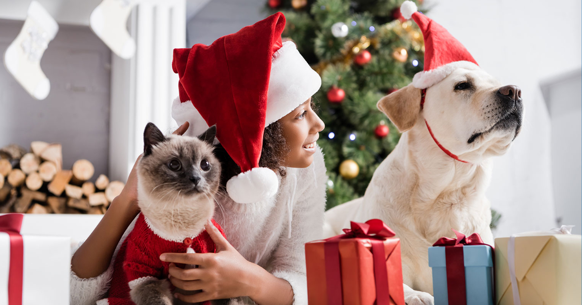 HOLIDAY TRADITIONS YOU SHOULD START WITH YOUR PET THIS WINTER ...